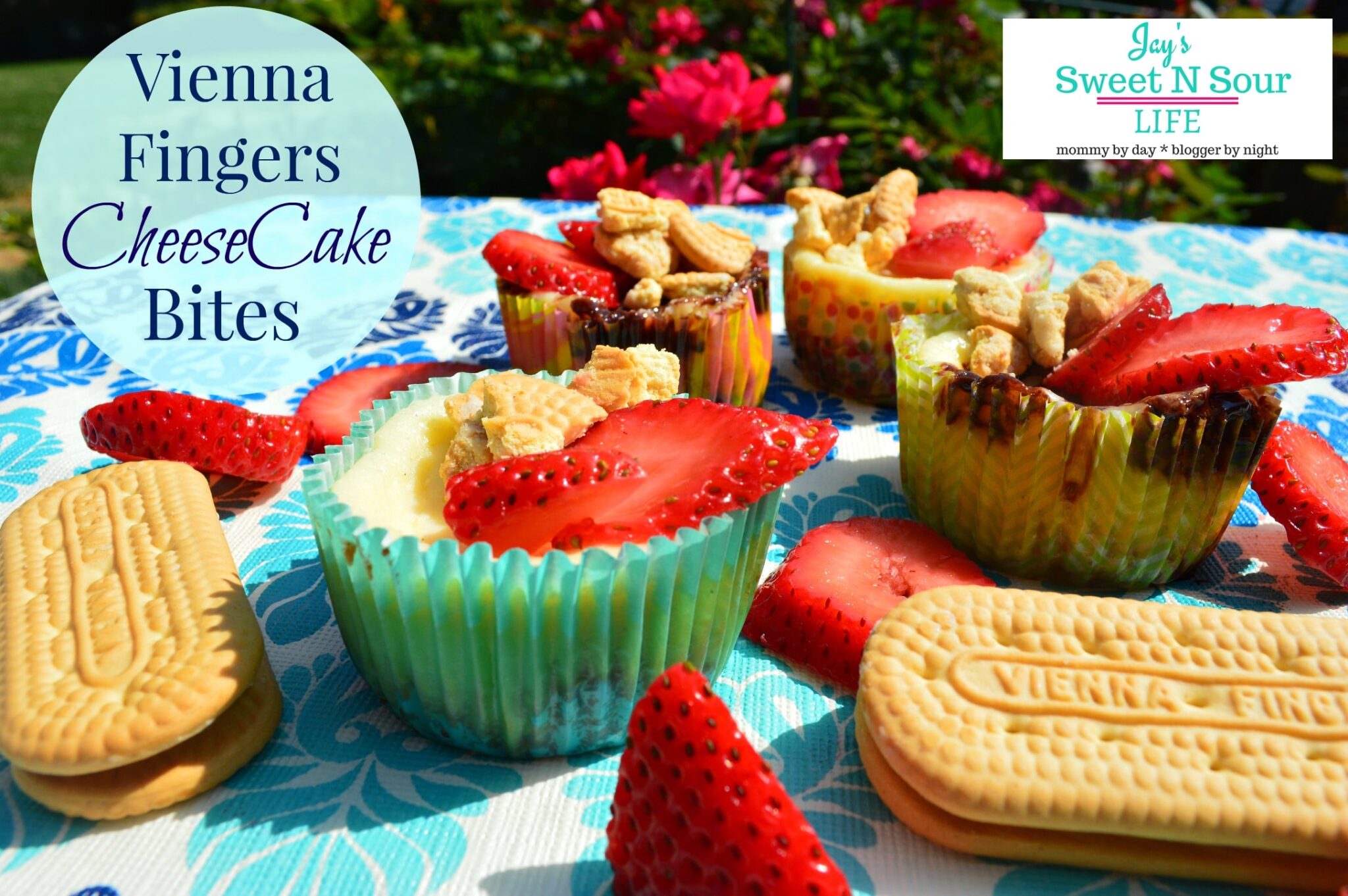 Vienna Fingers Cheesecake Bites – Life With Jay Simms