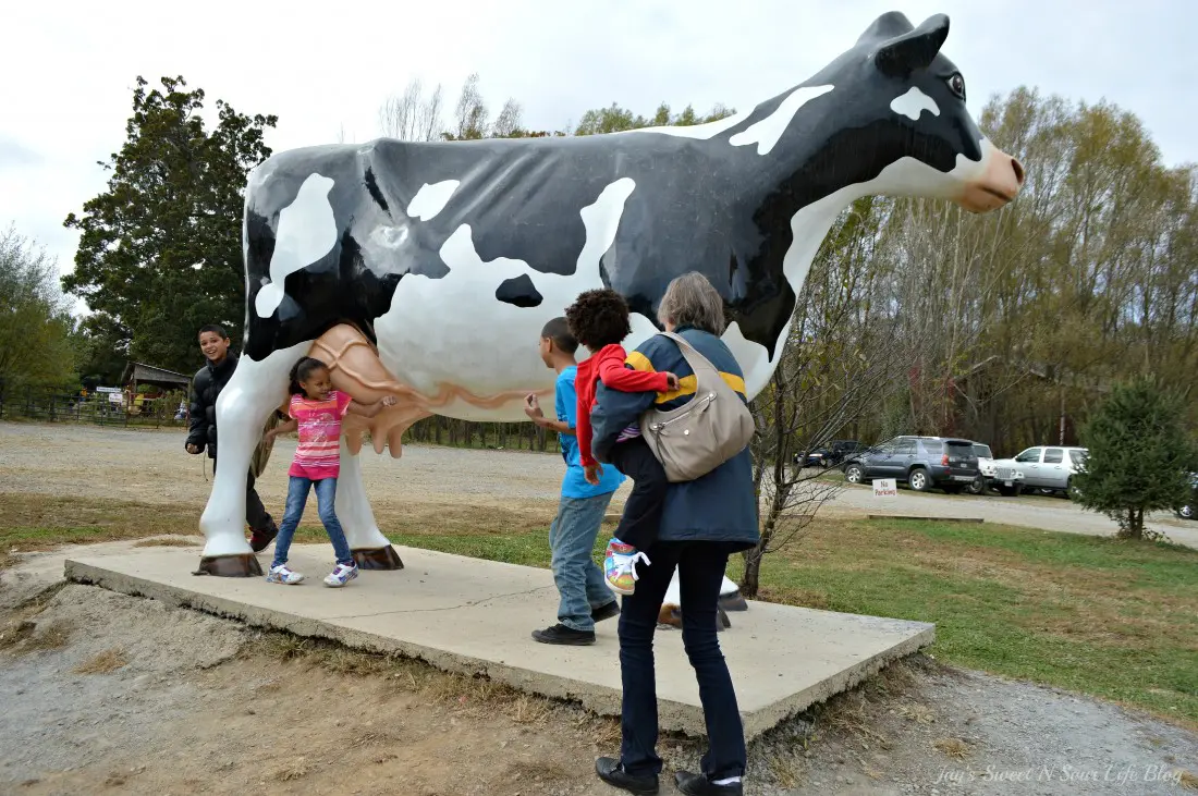 A Taste Of Farm Life At Great Country Farms – Life With Jay Simms